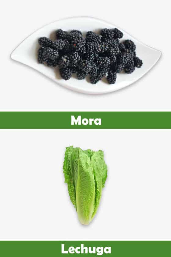 Jugo De Mora Y Lechuga - Sobre Jugos